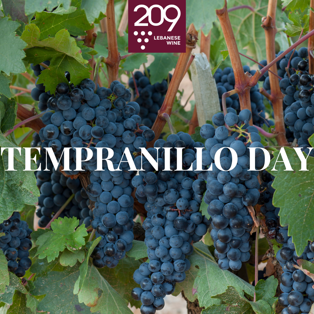 International Tempranillo Day – 209 Lebanese Wine
