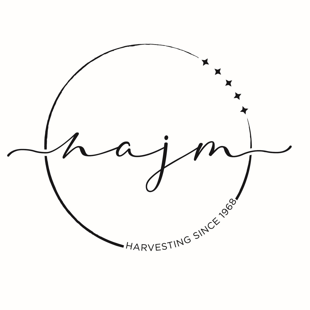 Najm Logo Religious Calligraphic Van Najm Stock Vector (Royalty Free