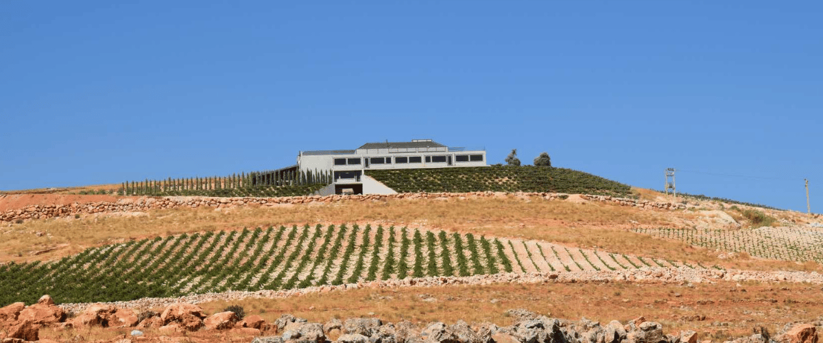 Couvent Rouge Wines - Discover & Buy Any Bottle Online – 209 Lebanese Wine