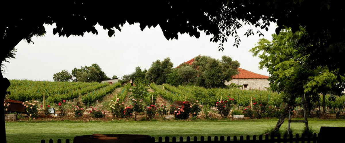 Domaine Des Tourelles Wines - Discover & Buy Any Bottle Online – 209 ...